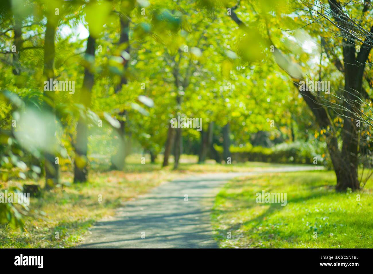 Background blur wide path hi-res stock photography and images - Alamy