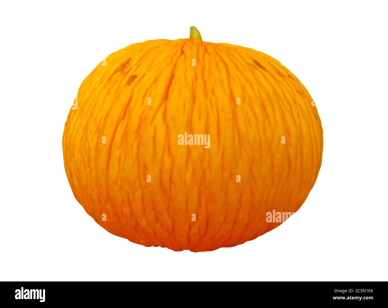 Ripe yellow casaba melon isolated on white background. Clipping path ...