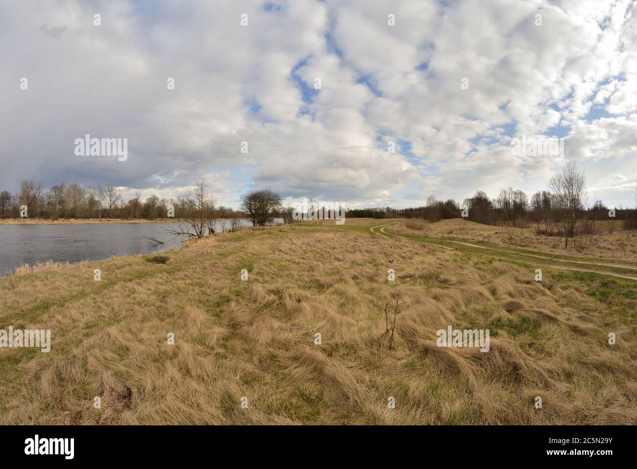 Overgrown river bank and clouds in the sky on a spring day. Clouds and ...