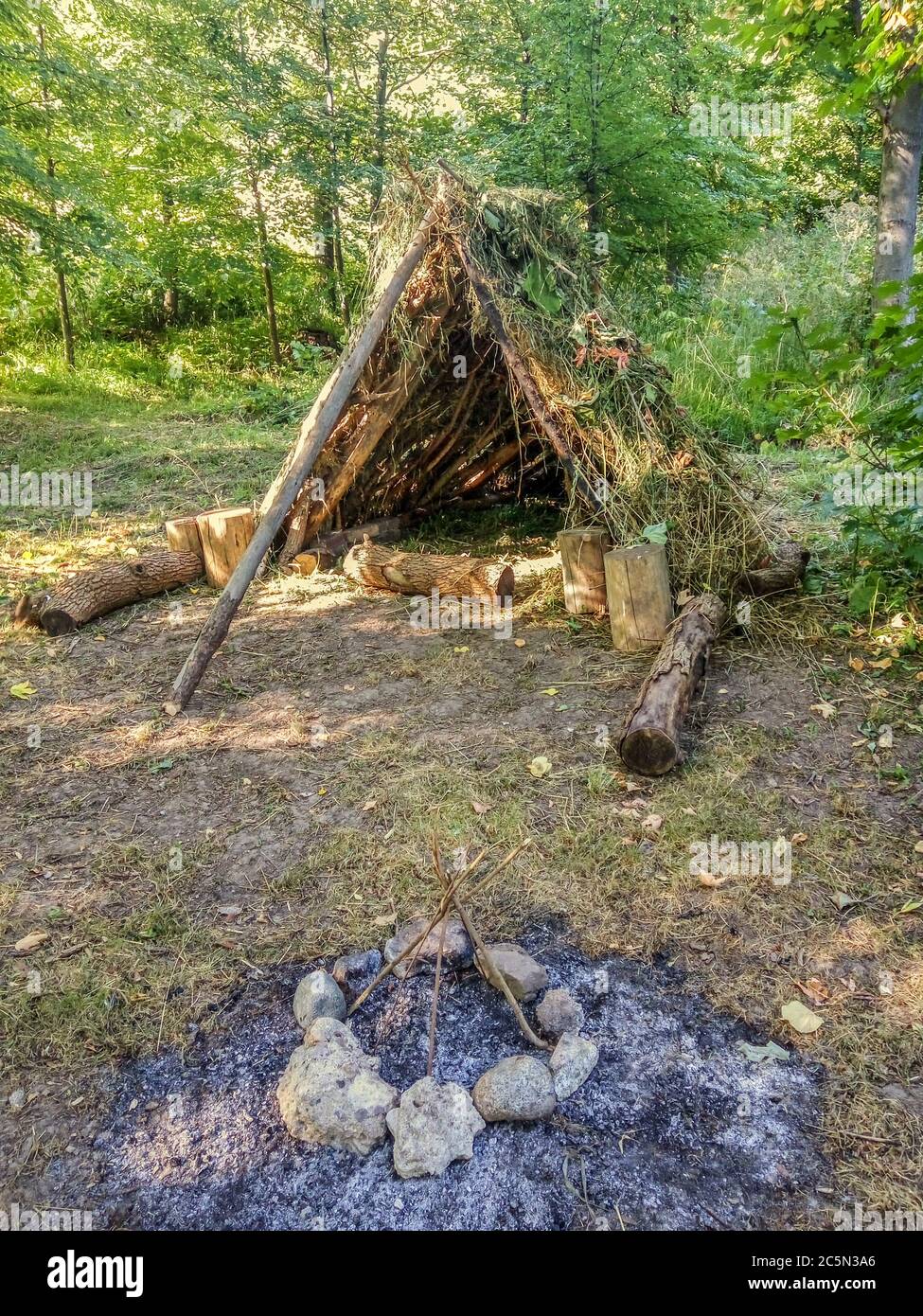 Hut of branches in the summer forest Stock Photo - Alamy