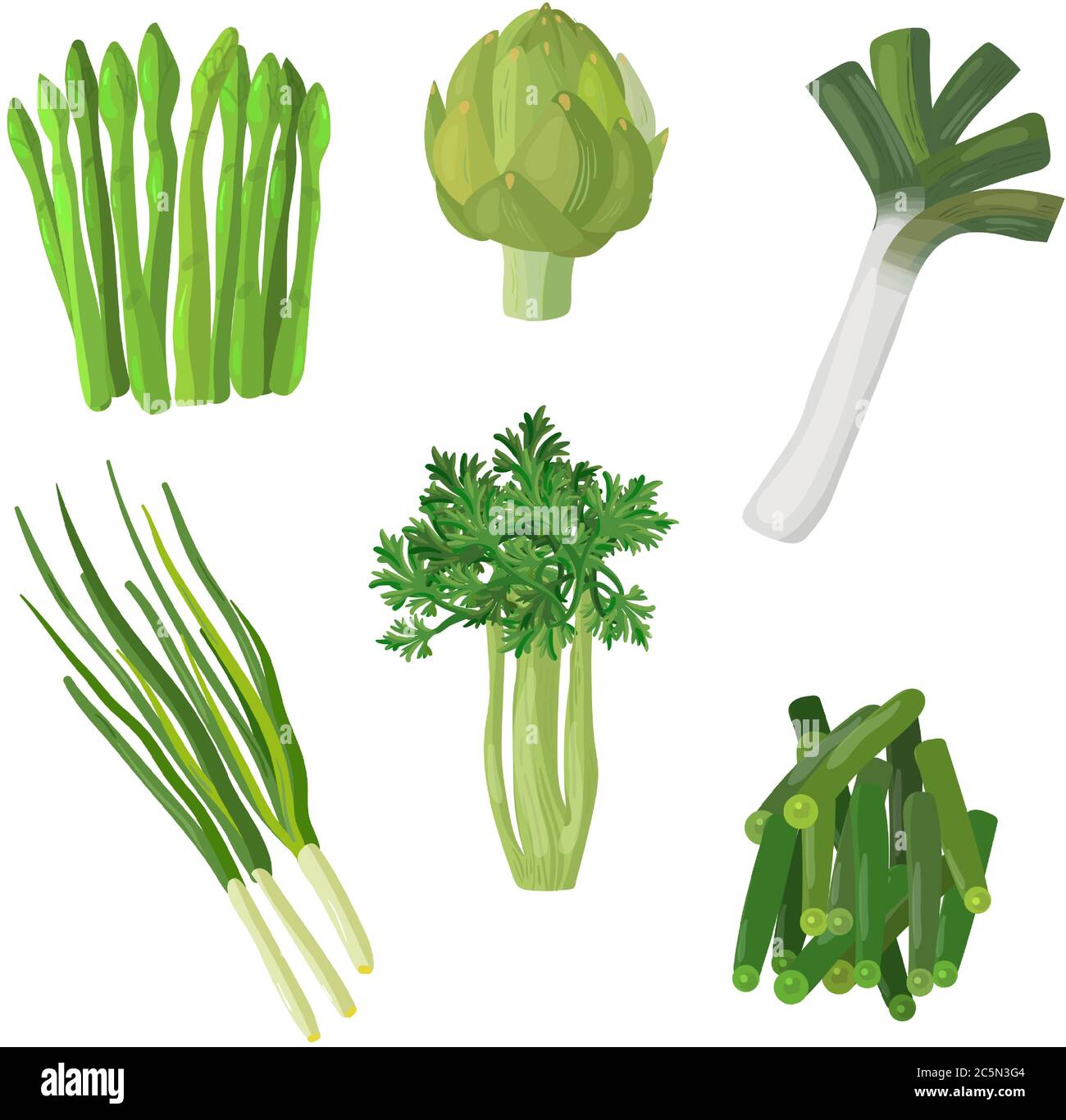 Green vegetables and herbs set, organic vegetarian food, vector ...