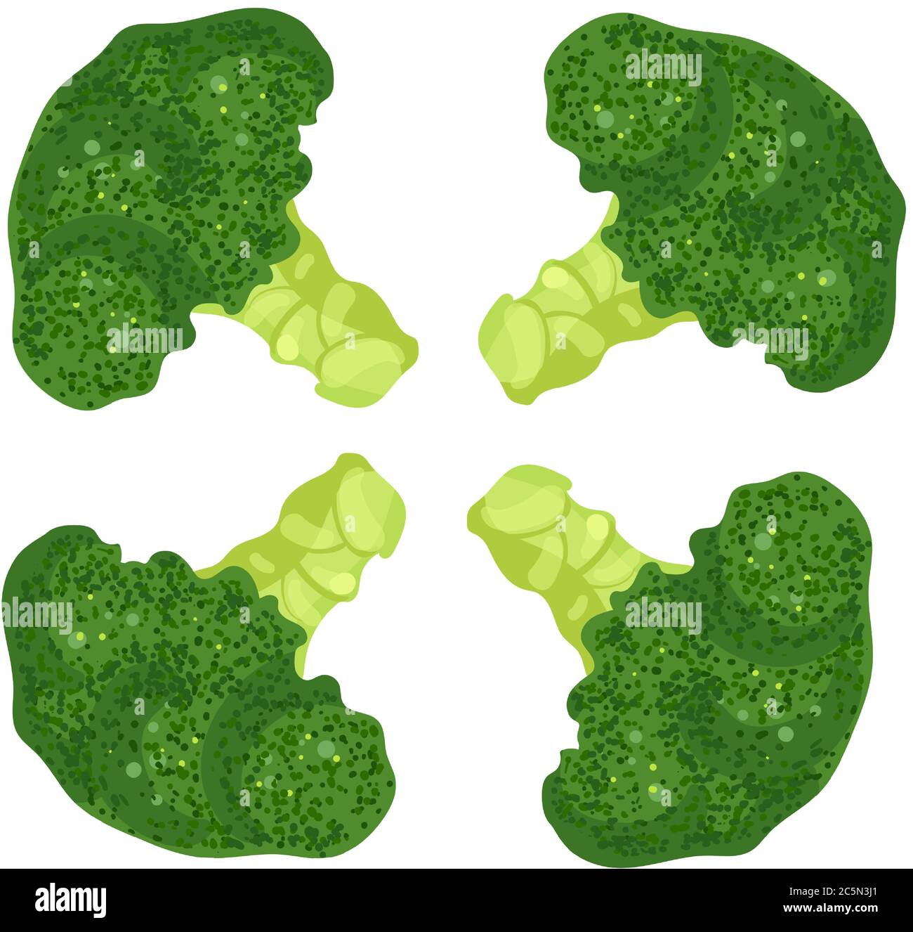 Fresh broccoli icon. Realistic illustration of fresh broccoli vector ...