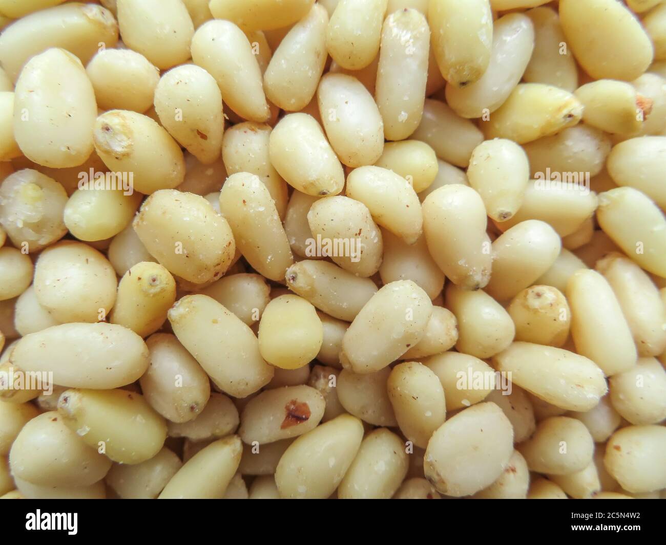 Pinon nuts hi-res stock photography and images - Alamy