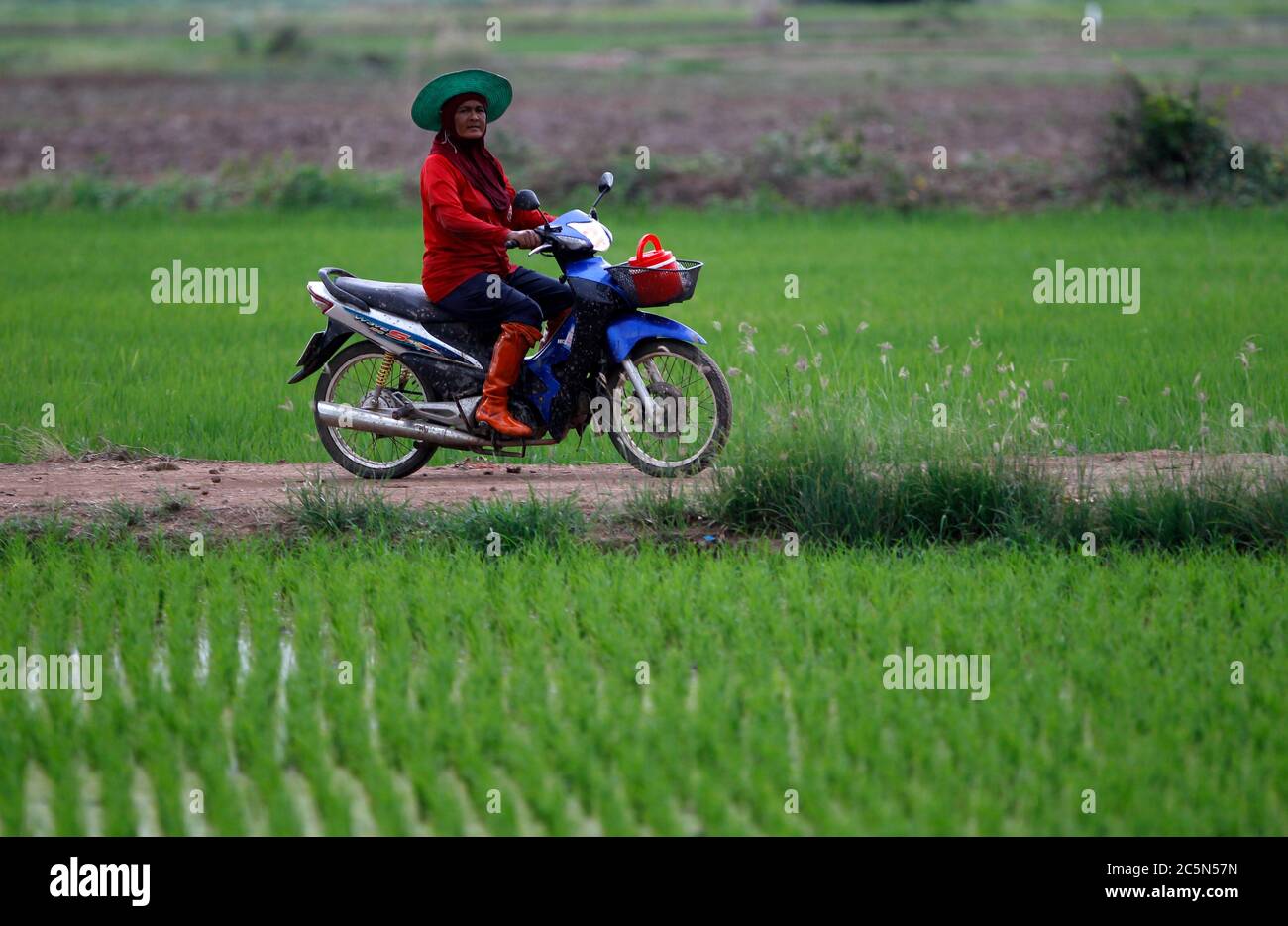 Motorcycle rides in bangkok hi-res stock photography and images - Alamy
