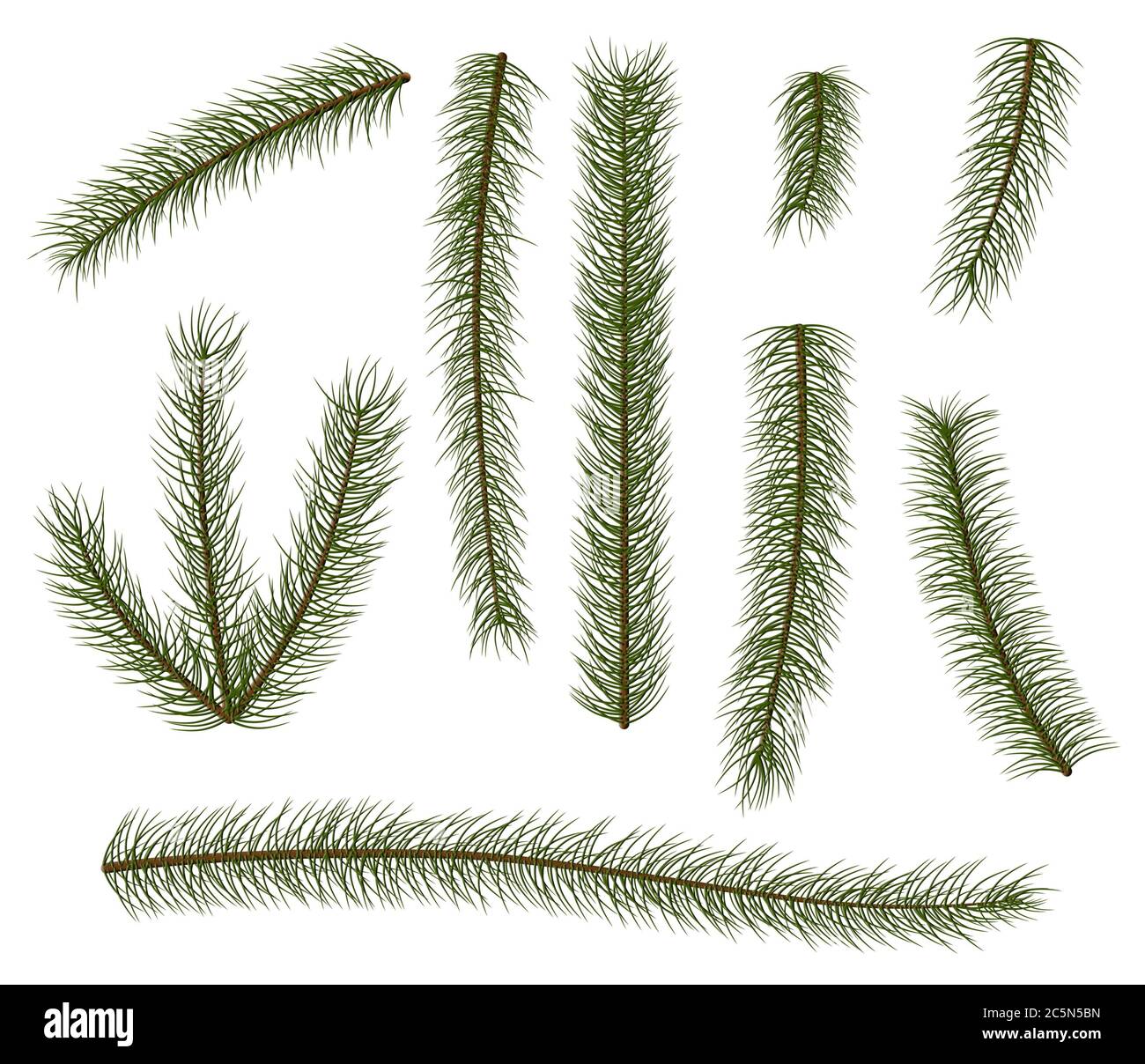 Set of fir tree branches isolated on white Stock Photo - Alamy