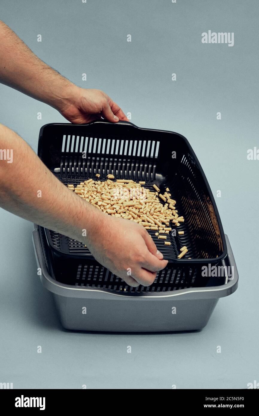 New gray, empty cat tray. Tray filler, biodegradable cat litter. Toilet ...