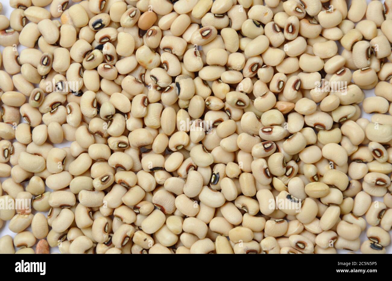 raw white bean texture and background Stock Photo - Alamy