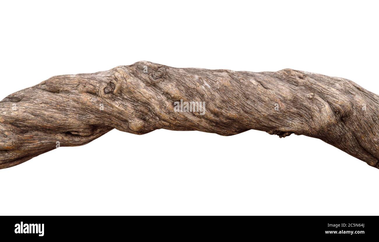 Olive lumber hi-res stock photography and images - Alamy