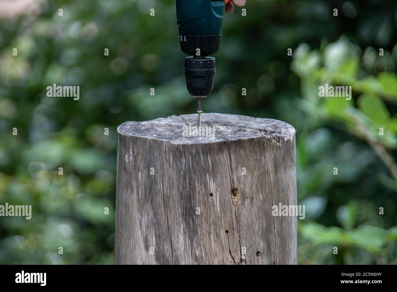 Cordless screwdriver turns a screw into a tree stump Stock Photo - Alamy
