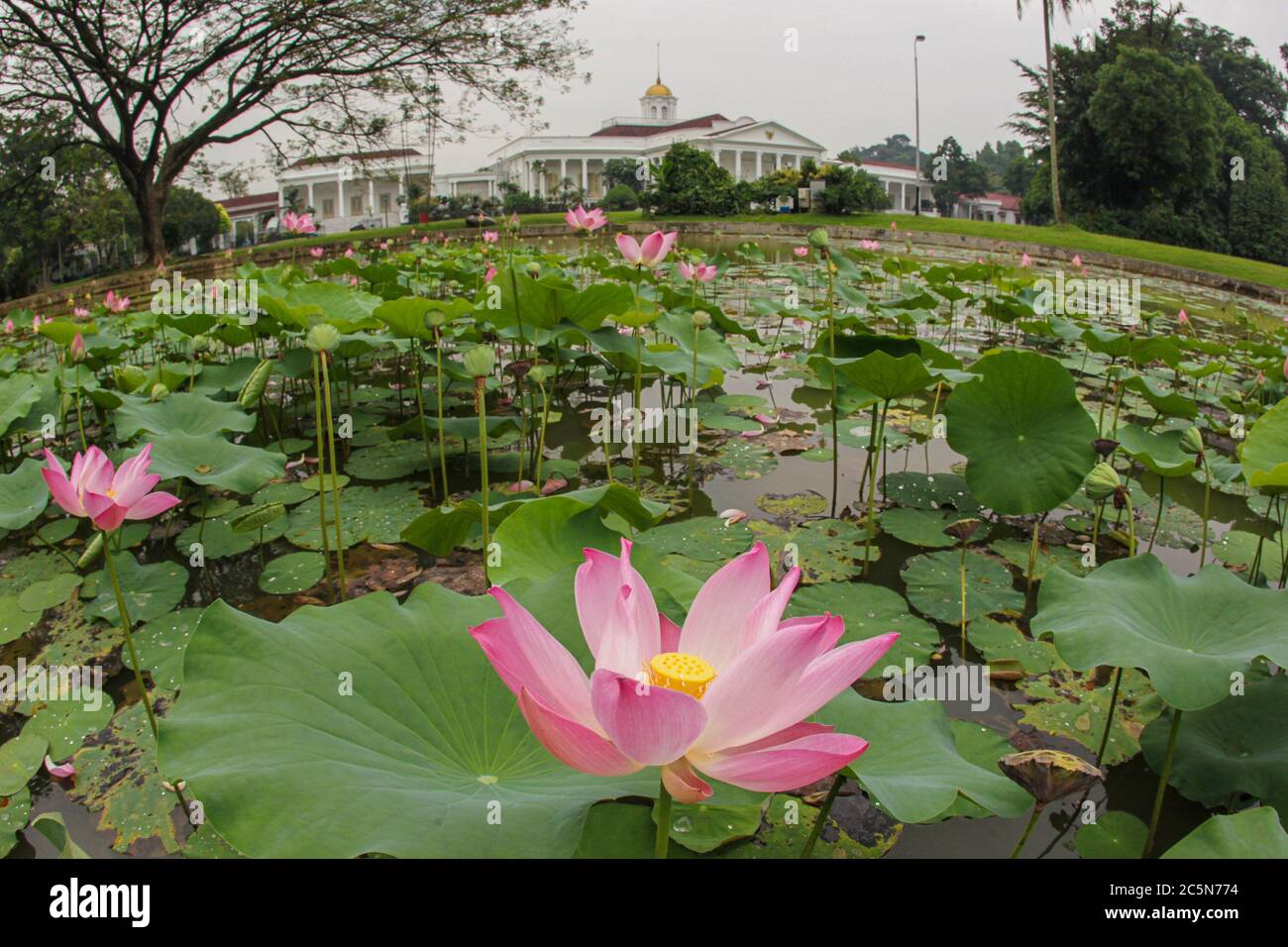Bogor, Indonesia. 04th July, 2020. A view Indonesian President Palaces ...