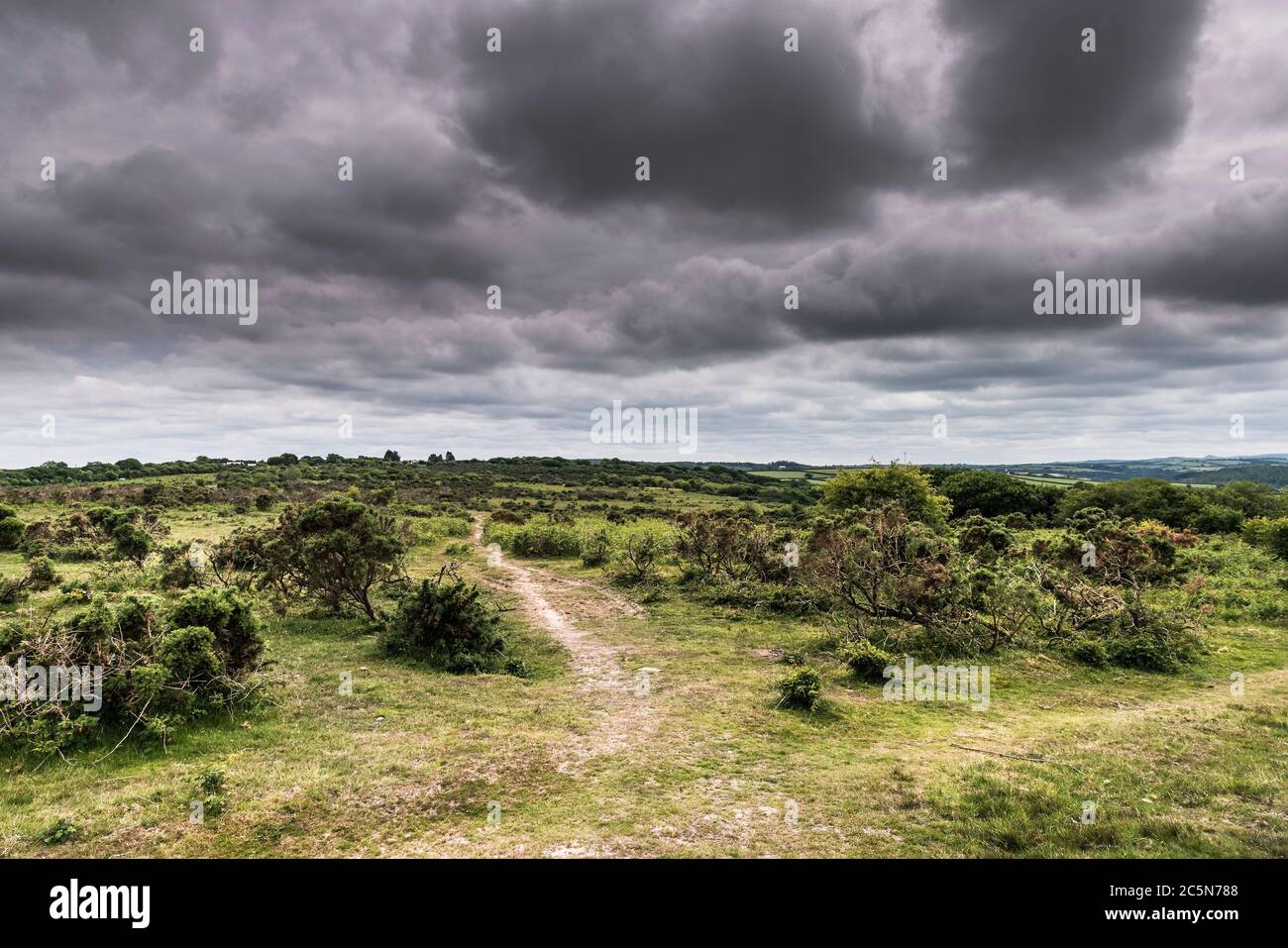 Rough footpath hi-res stock photography and images - Alamy