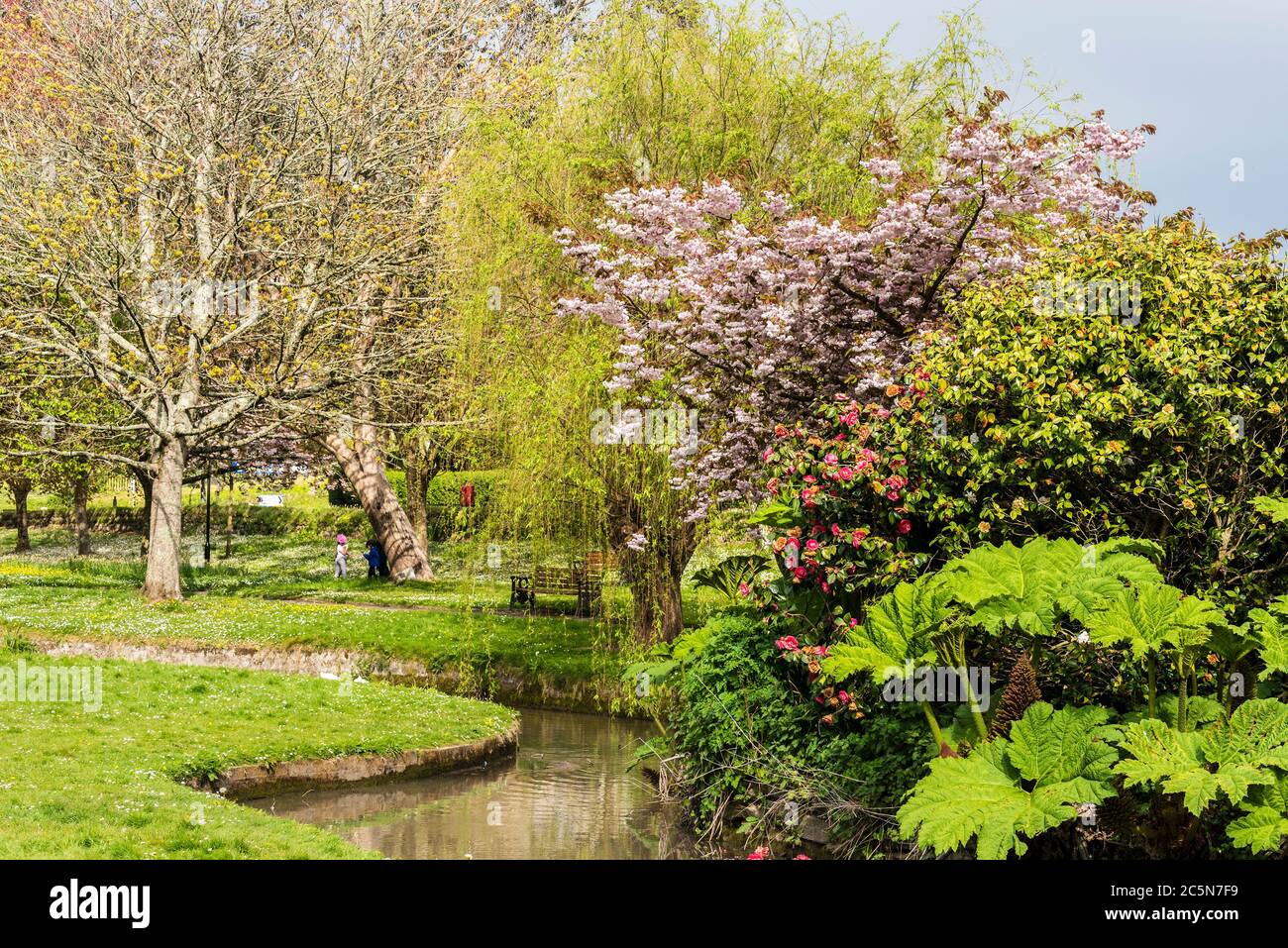 Trees and shrubs in Trenance Gardens in Newquay in Cornwall Stock Photo ...