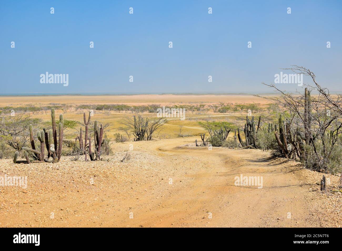 Punta Gallinas, La Guajira, Colombia Stock Photo - Alamy