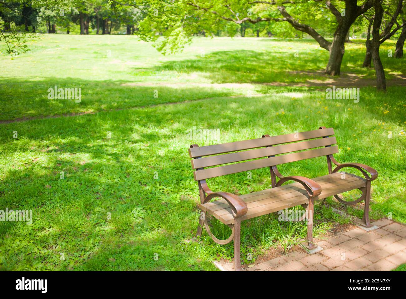 Chair and landscape ecology hi-res stock photography and images - Alamy