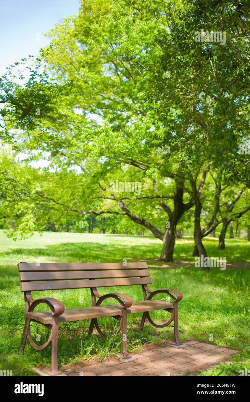 Bench grass park picnic chair seat hi-res stock photography and images ...
