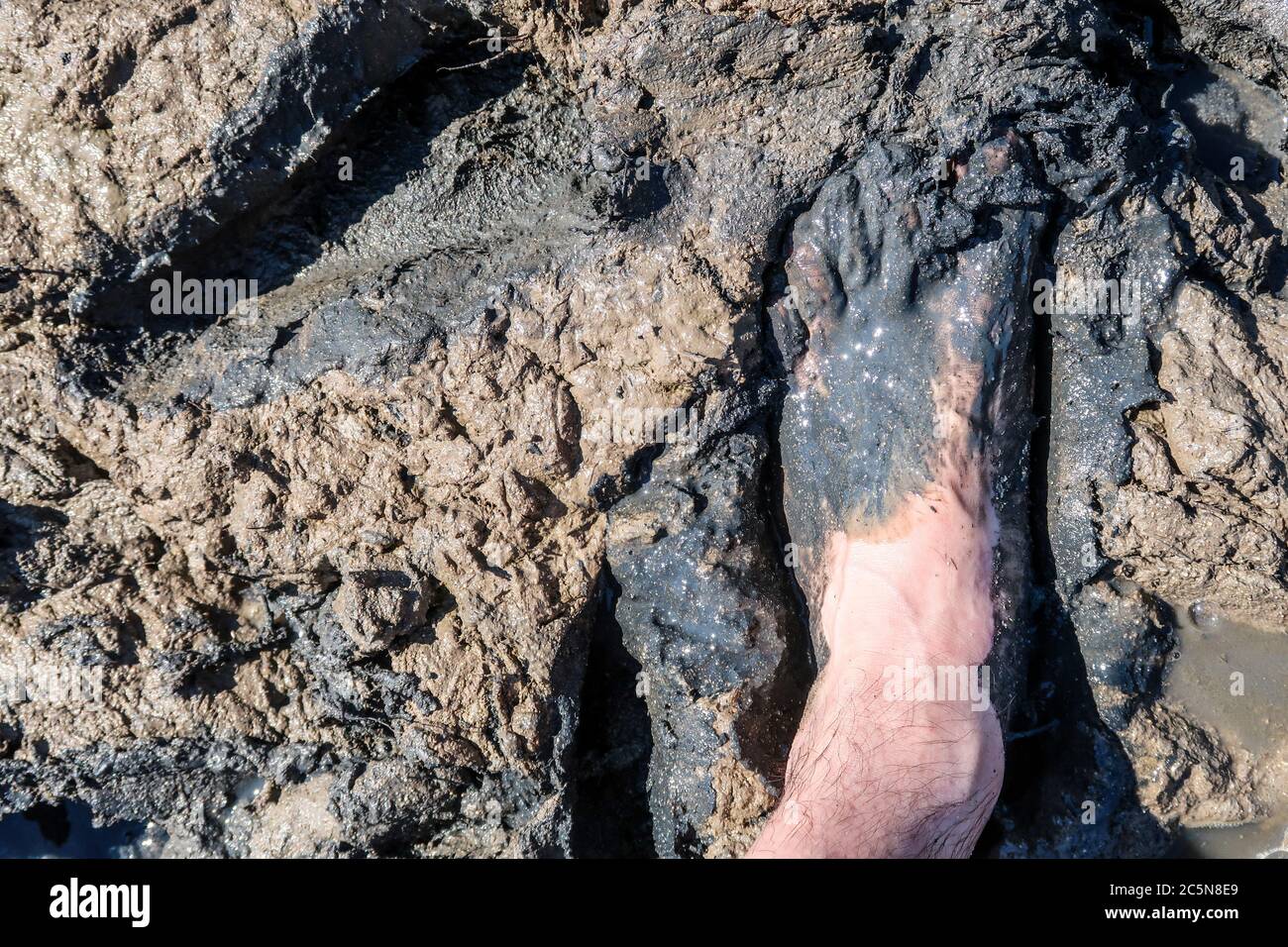 A foot sinking into Nin’s therapeutic healing mud lagoon in Croatia ...