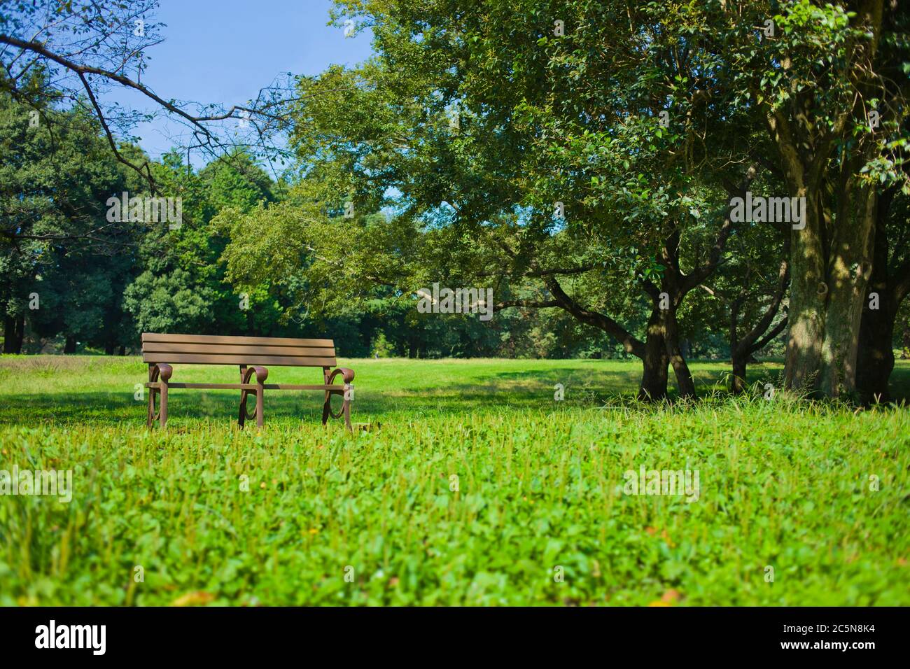 Bench grass park picnic chair seat hi-res stock photography and images ...