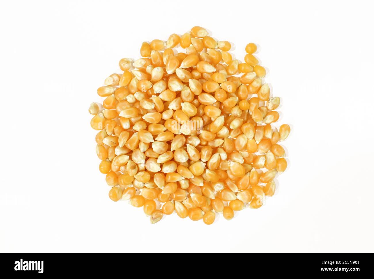 Group of corn seeds isolated on white background Stock Photo - Alamy