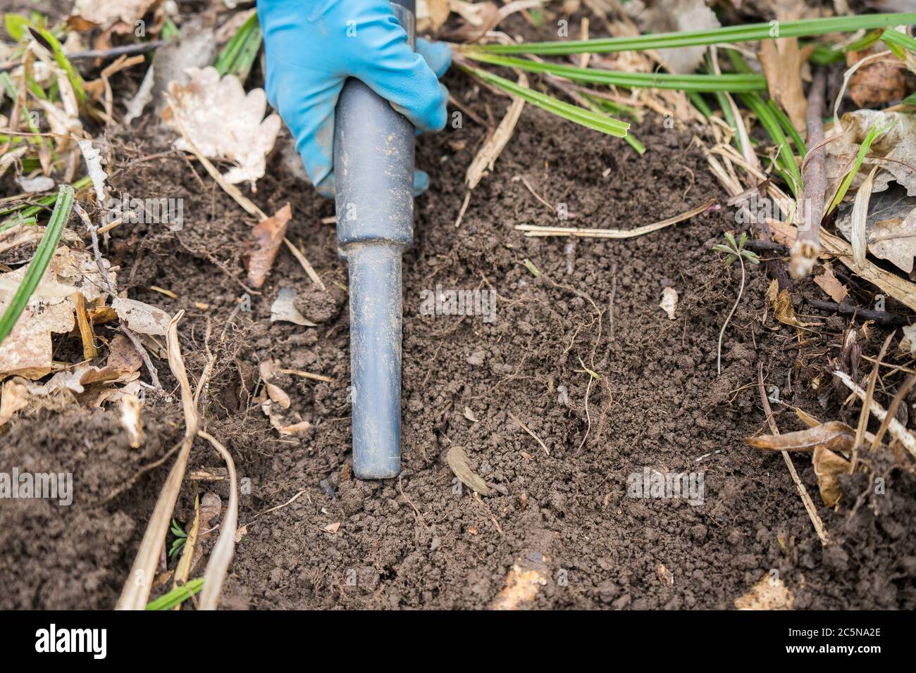 pinpointer metal detector in digger archaeologist hand and ancient coin ...