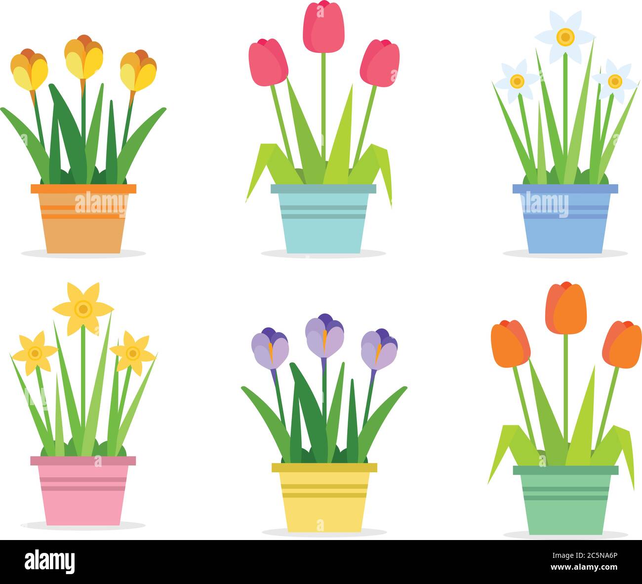 Narcissus in spring blossom Stock Vector Images - Alamy