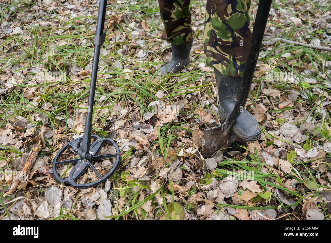 metal detector in the forest and a man digging coins. Search old coins ...