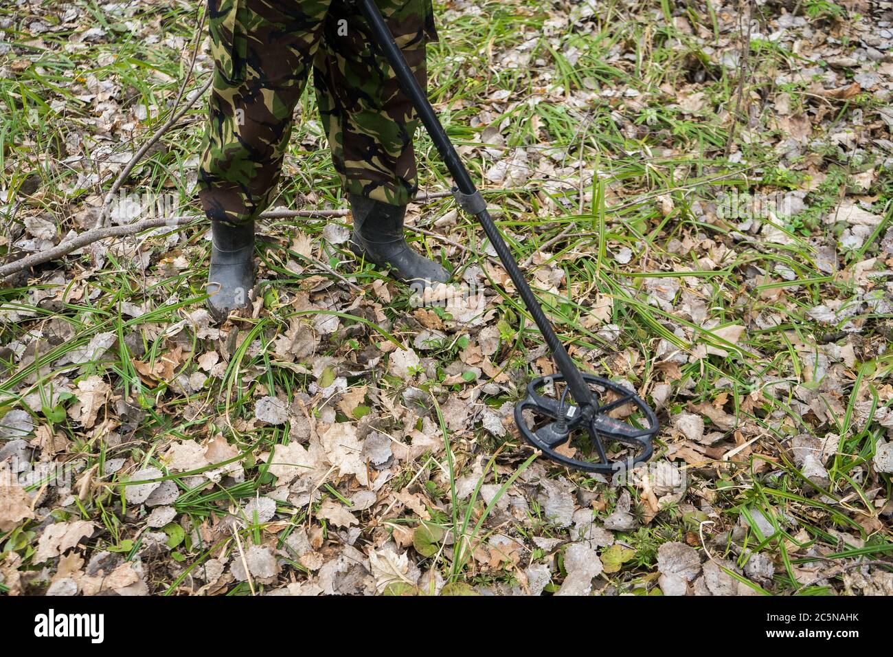 metal detector in the forest and a man archaeologist digging coins ...