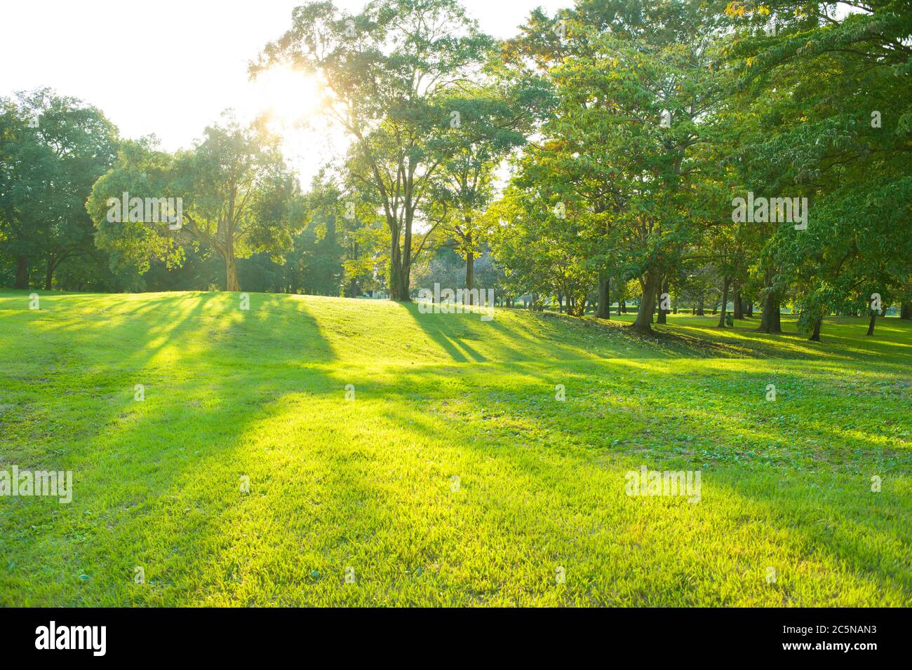 Sunshine park hi-res stock photography and images - Alamy