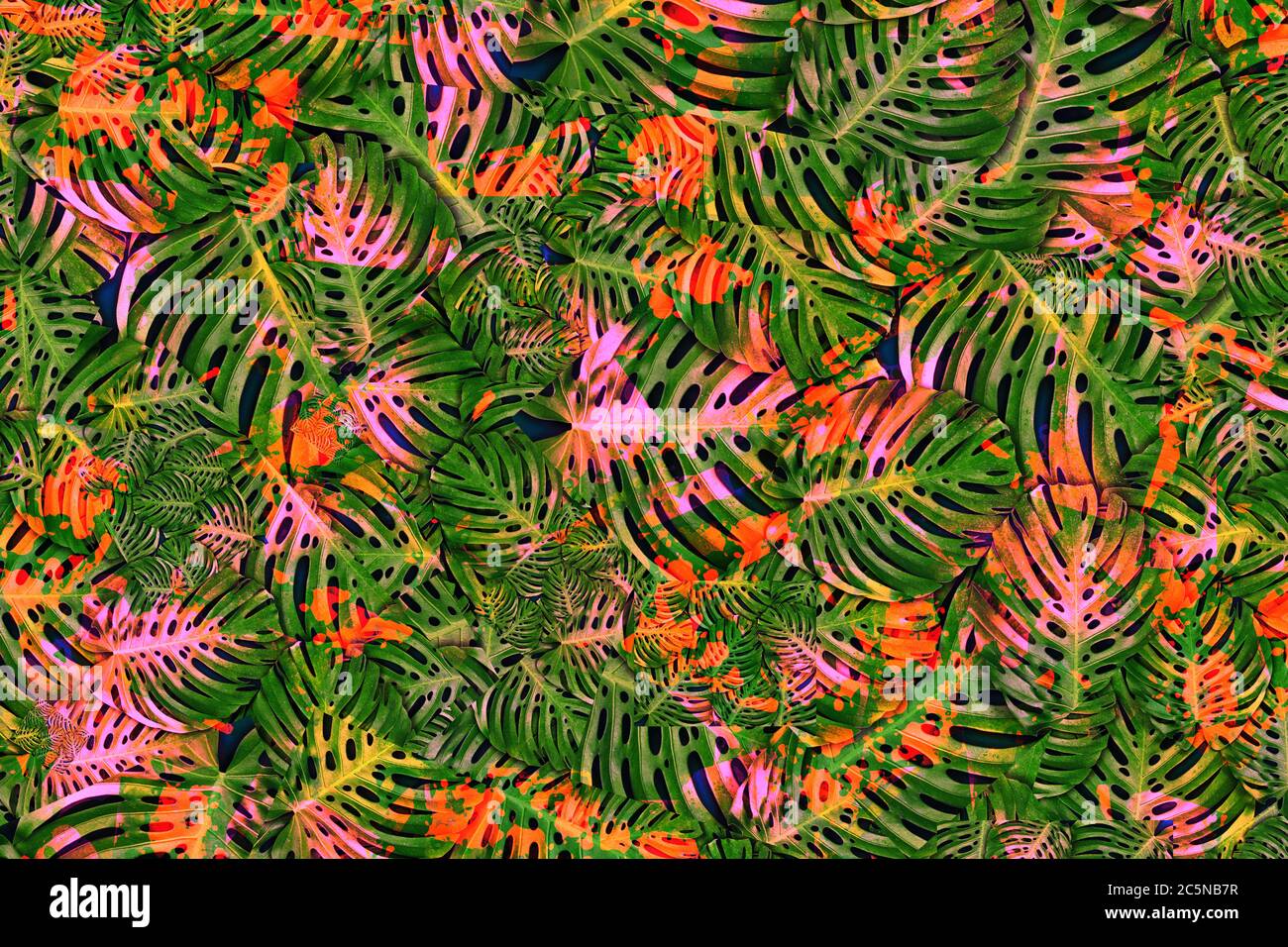 abstract tropical art exotic leaves rain forest Stock Photo - Alamy