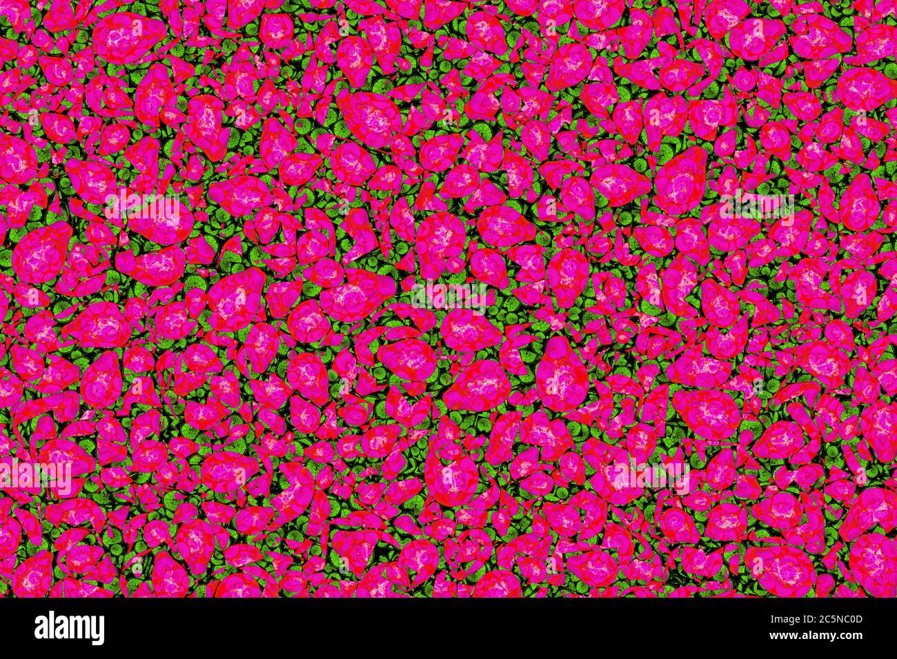 abstract fruits pink papaya background Stock Photo - Alamy