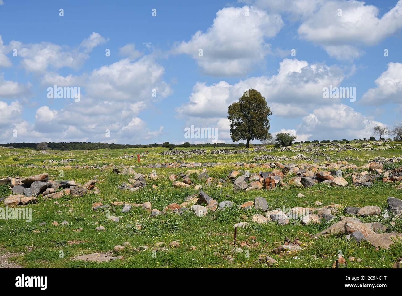Landscape of the Hula Valley, Golan Heights, Northern Israel Stock ...