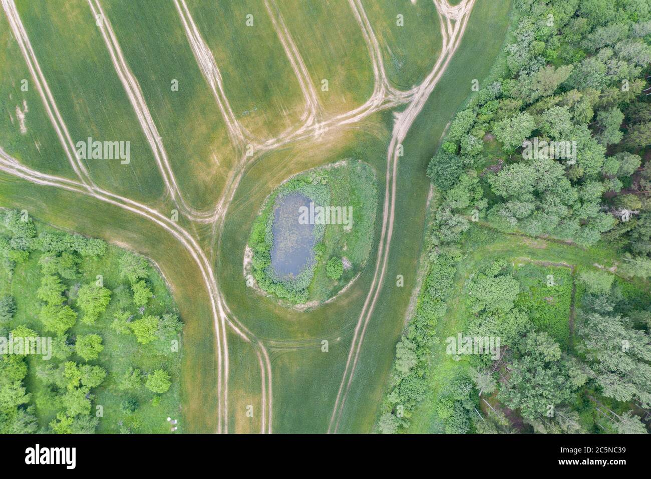 Aerial top down view of natural pond between agricultural field and ...