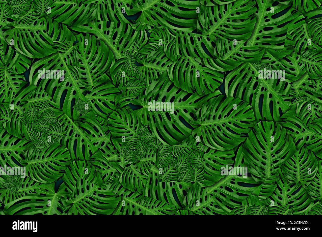 Abstract tropical background hi-res stock photography and images - Alamy