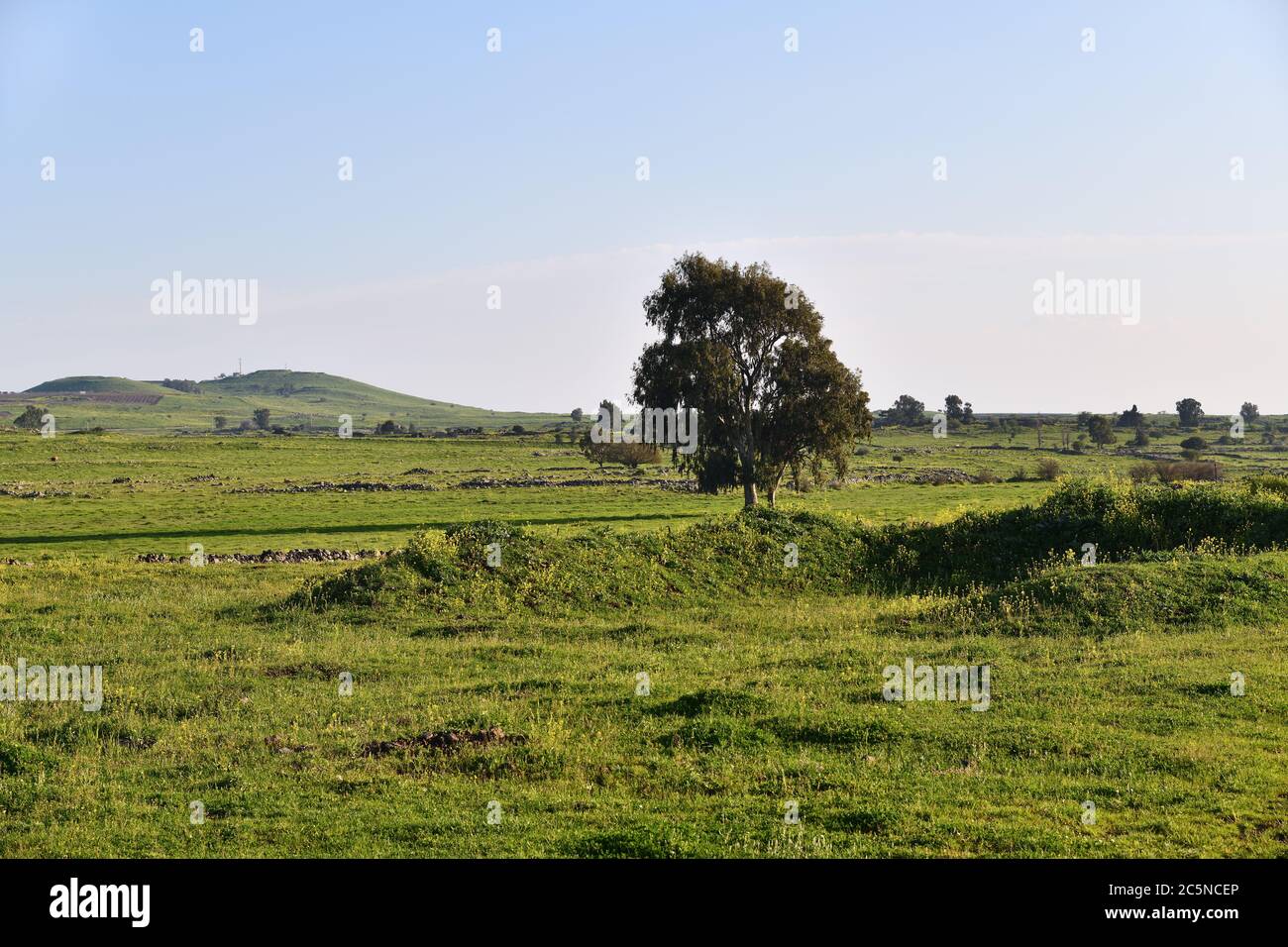 Landscape of the Hula Valley, Golan Heights, Northern Israel Stock ...