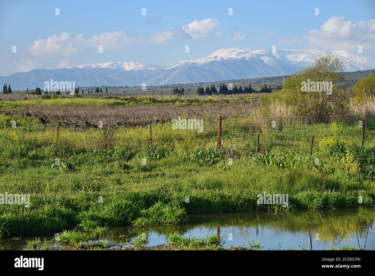 View of the Hula Valley and Mount Hermon Northern Israel Stock Photo ...