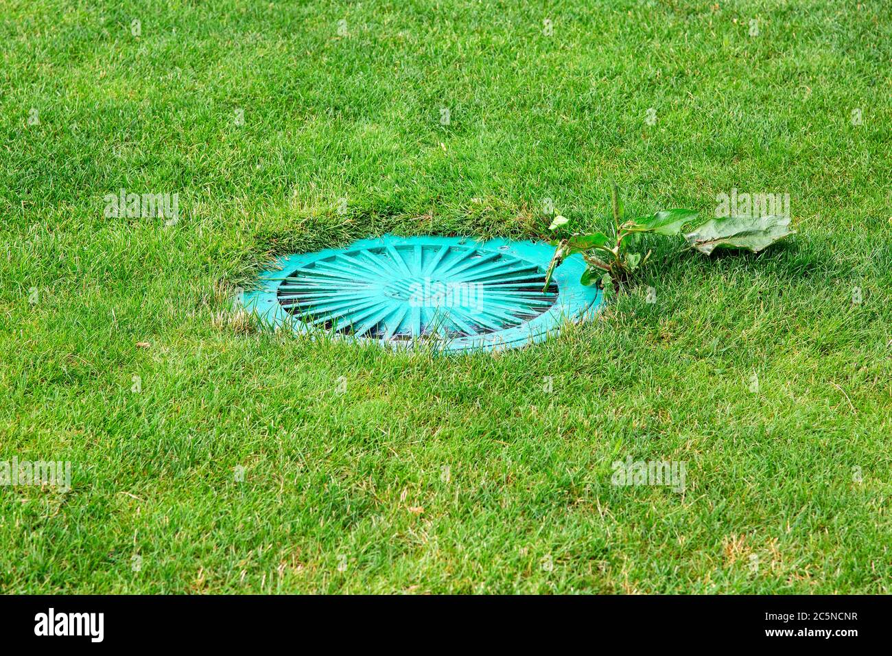 Green hatch of a sewer system in a meadow with green grass, close up ...