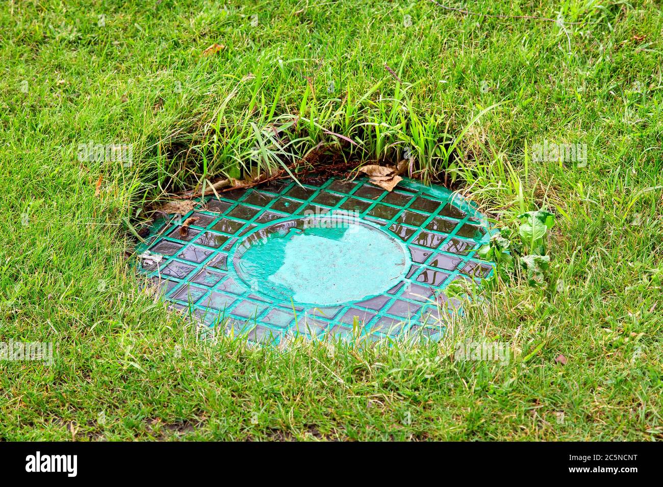 Green wet hatch of a sewer system in a meadow with green grass, close ...
