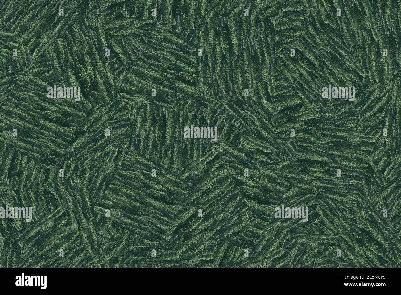 abstract nature background green trees top view Stock Photo - Alamy