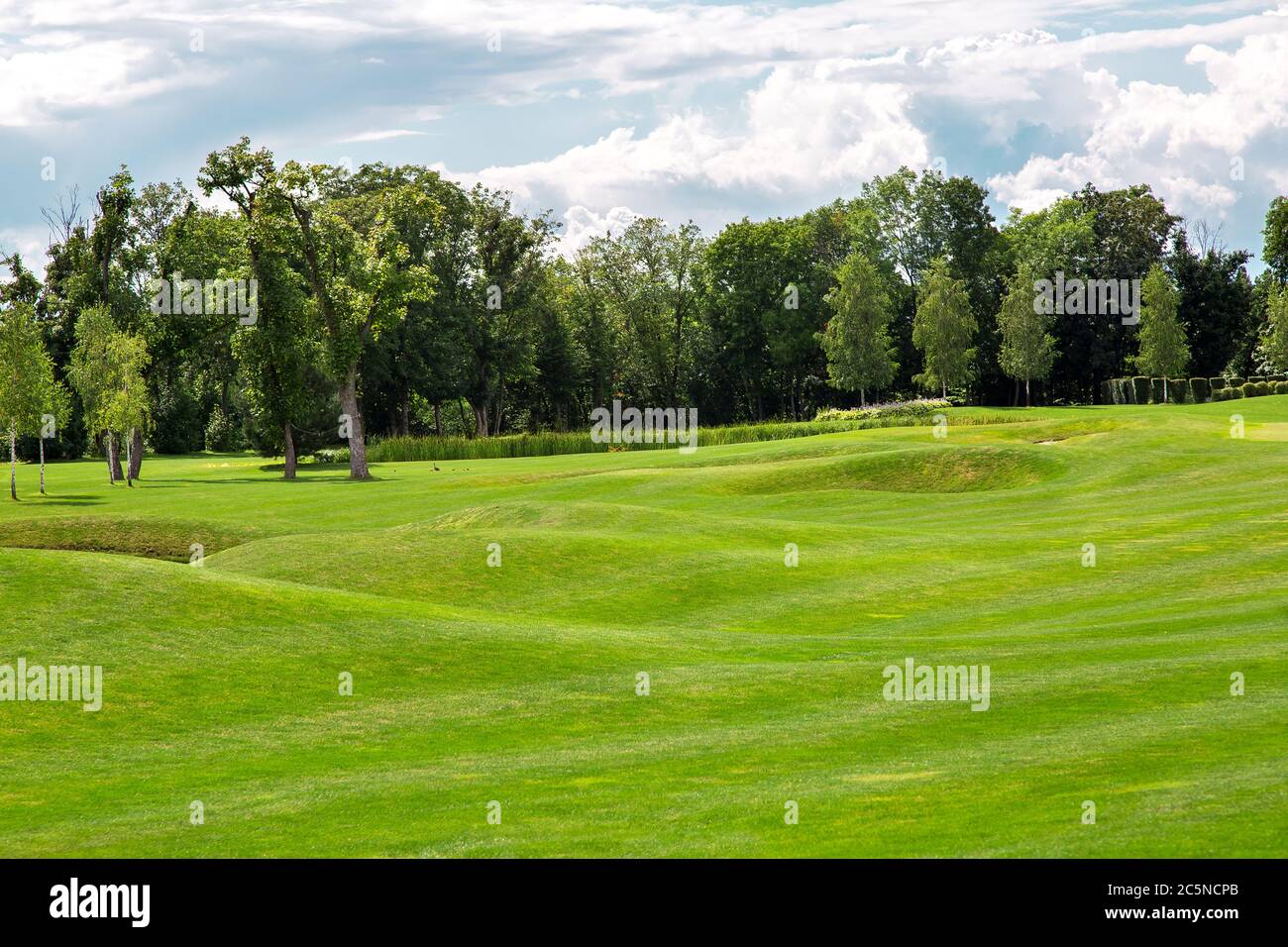 a hilly glade with a green lawn in a well-kept meadow in the background ...