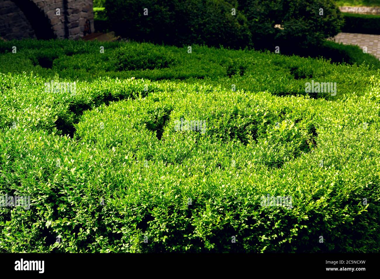 Boxwood maze hi-res stock photography and images - Alamy