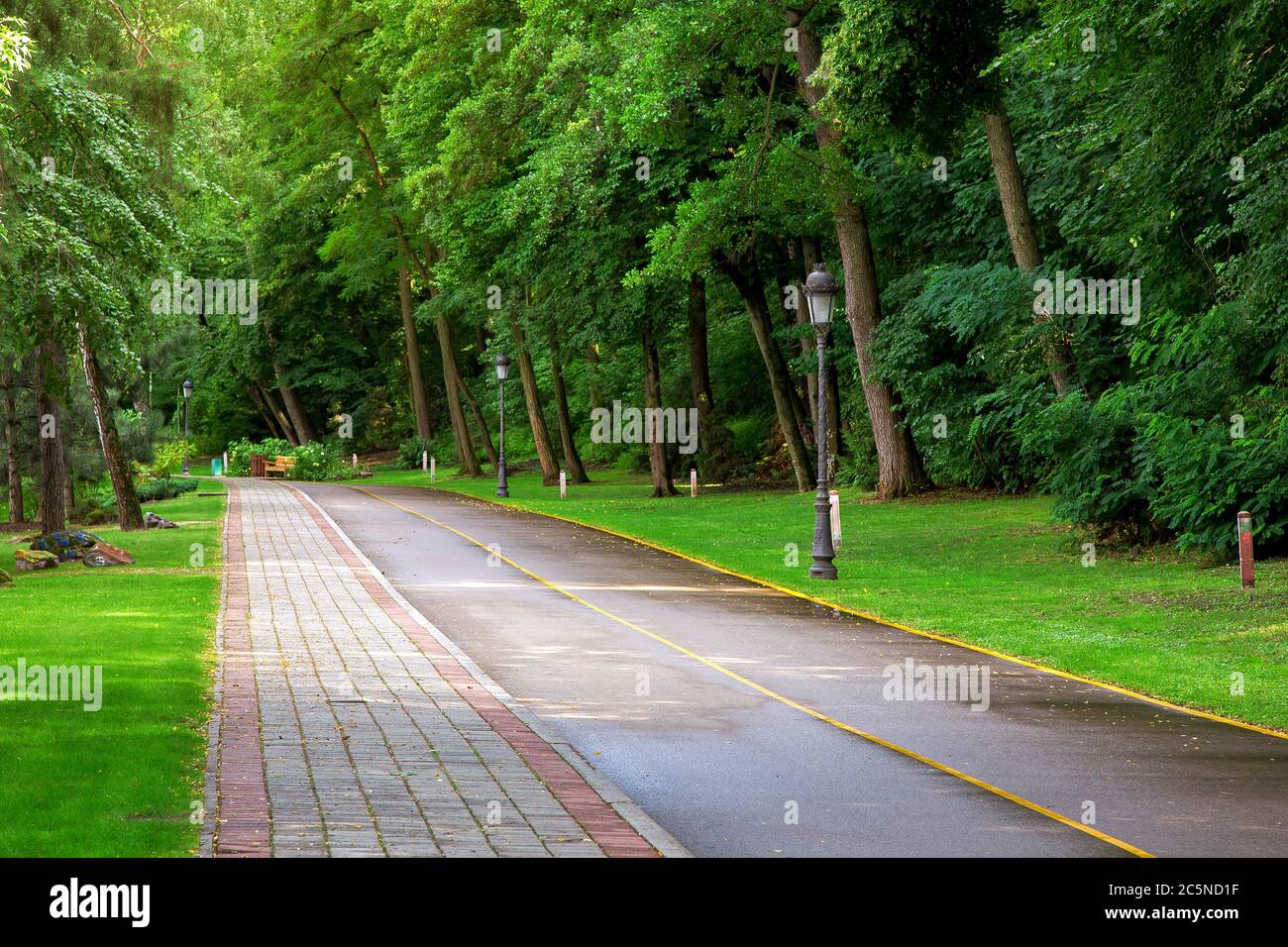 asphalt bike path with yellow markings and a pedestrian sidewalk made ...