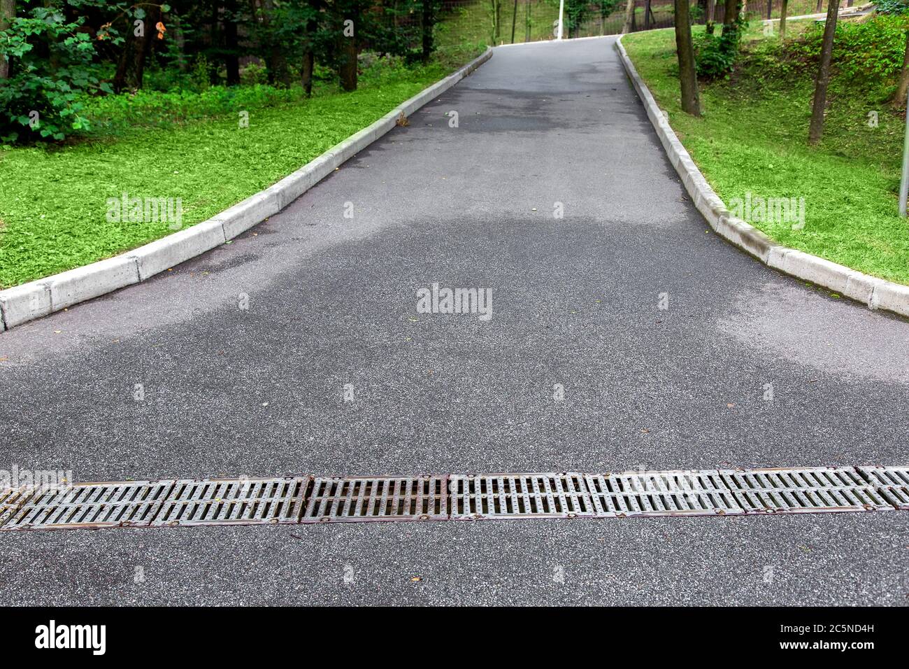 iron grid drainage system on an asphalt road on the park with a green ...