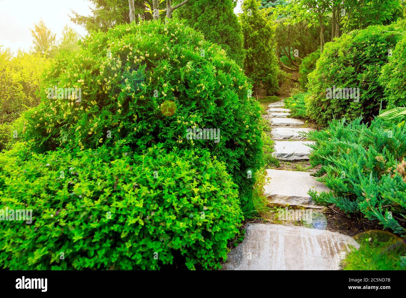 stone footpath in a garden with green plants, landscaping with bushes ...