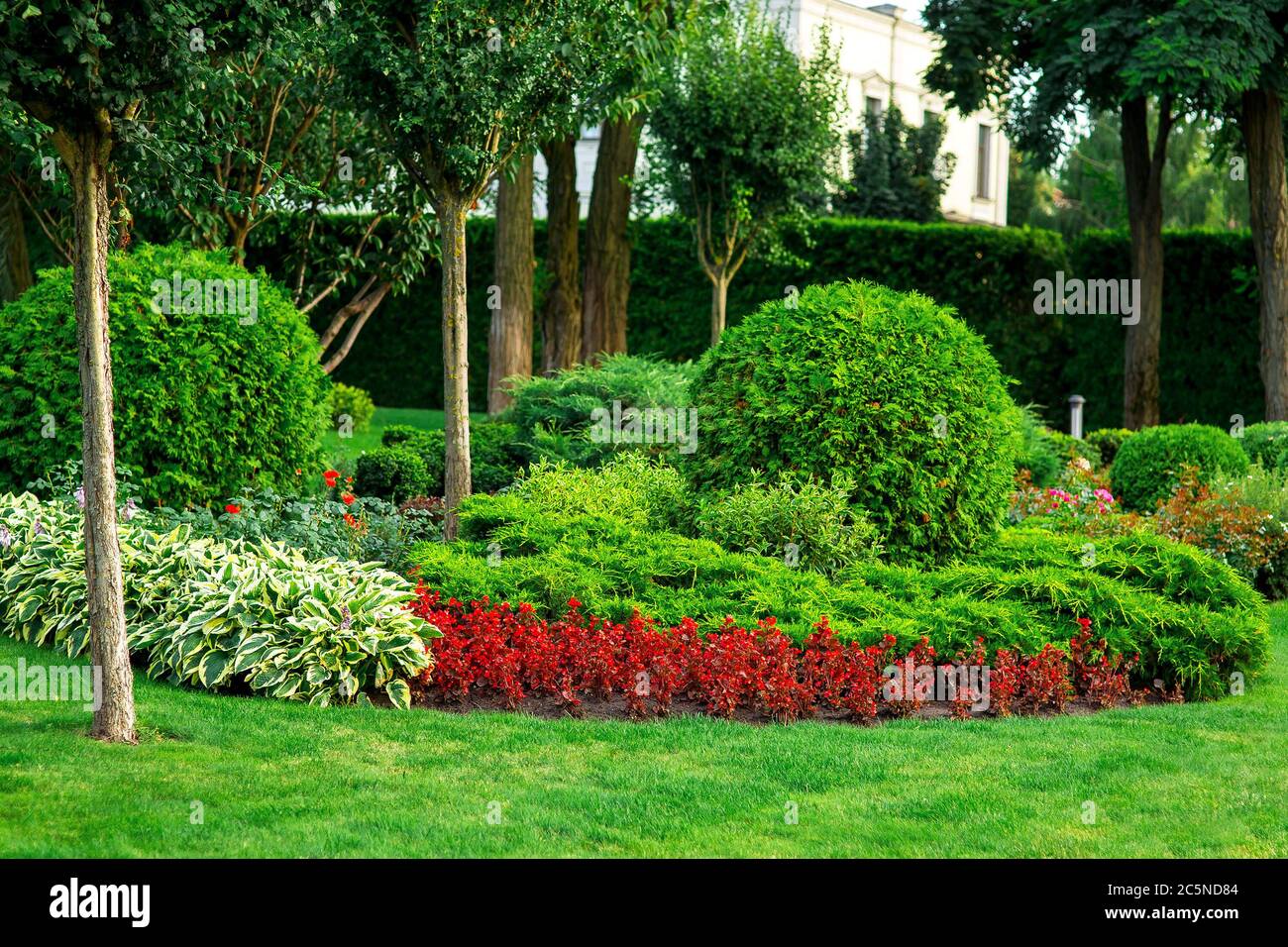 Landscaping of flower beds with flowers and green bushes with trees in ...