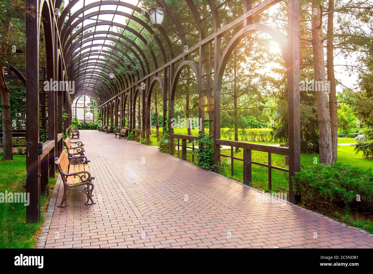 wooden arcade outdoor pergola with benches for relax with green ...