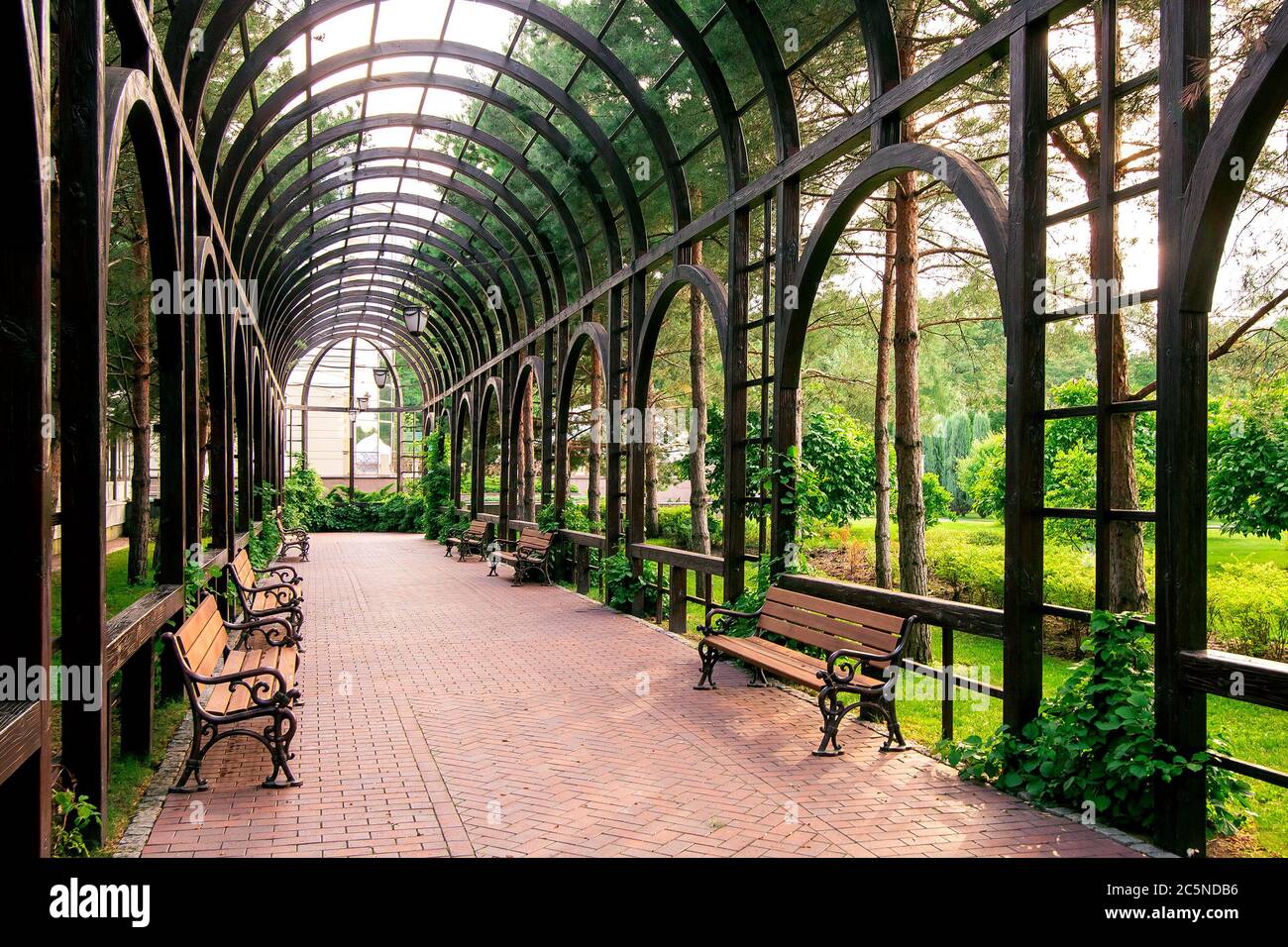 wooden arcade outdoor pergola with park benches with green climbing ...