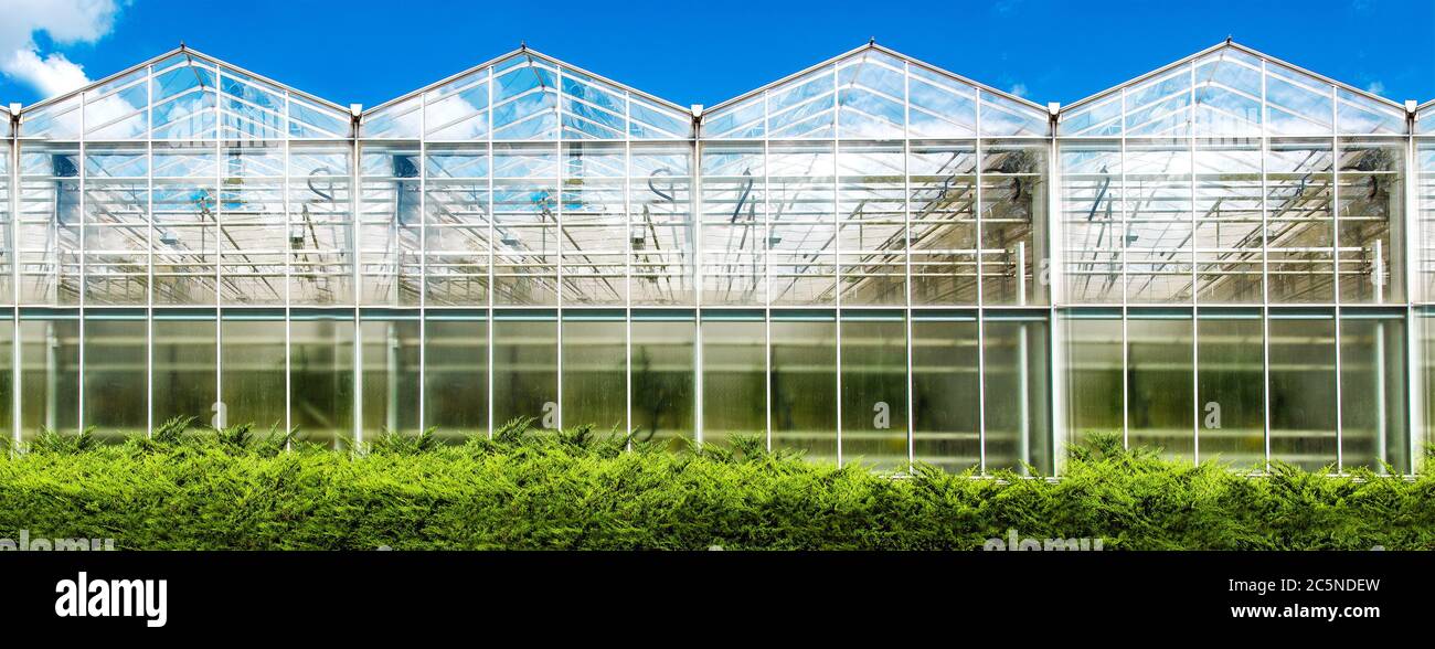 agricultural building facade made of glass greenhouse for growing ...