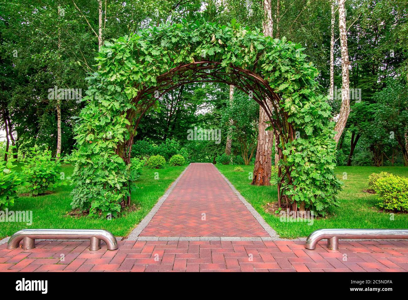 living oak arch in green leaves in a park with a tile walkway and green ...
