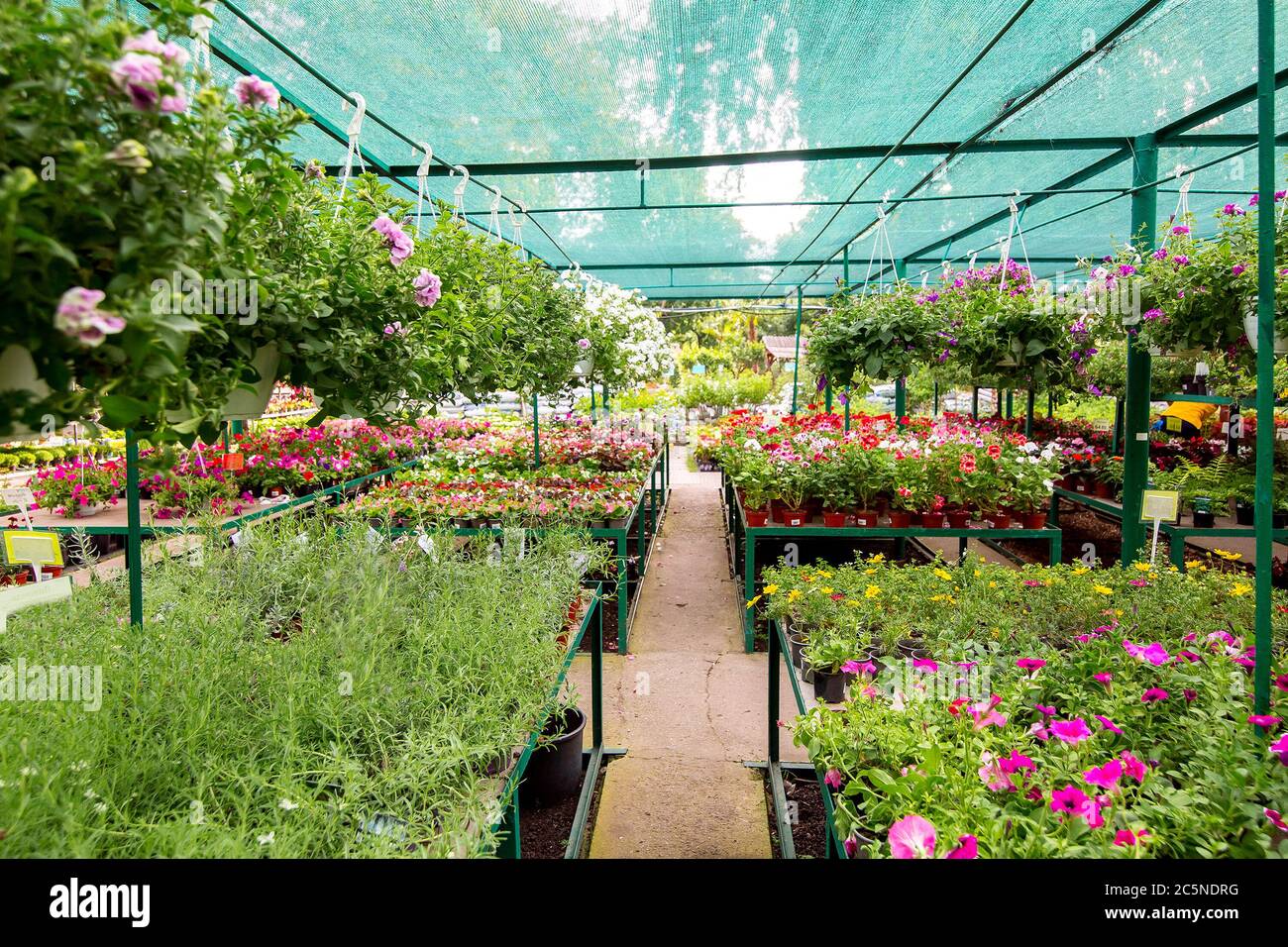 Hanging pot racks hi-res stock photography and images - Alamy
