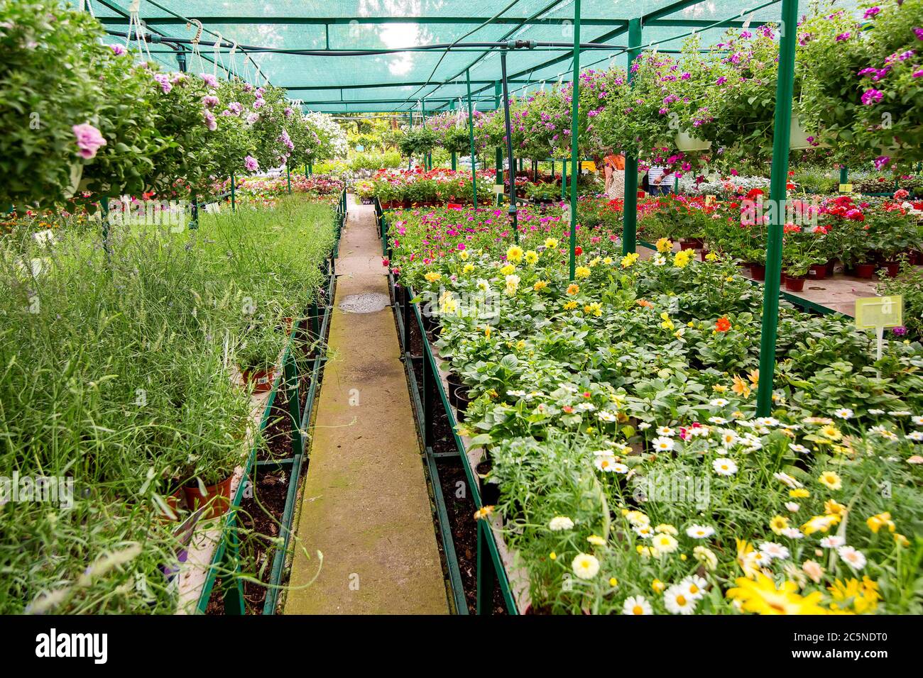 Hanging Pot Racks High Resolution Stock Photography and Images - Alamy