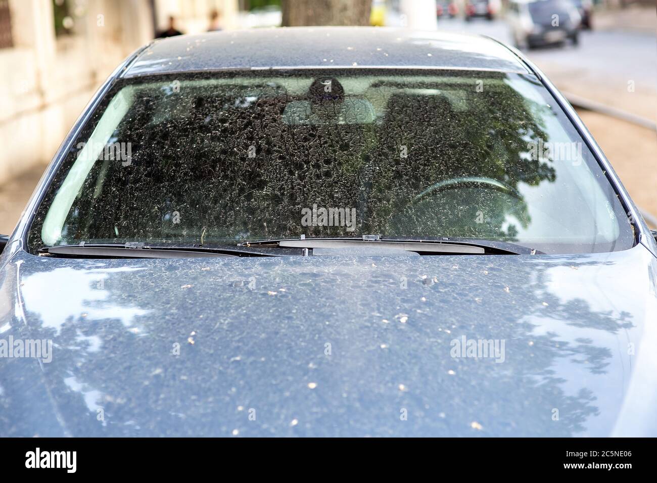 Windscreen wipers and mud hi-res stock photography and images - Alamy